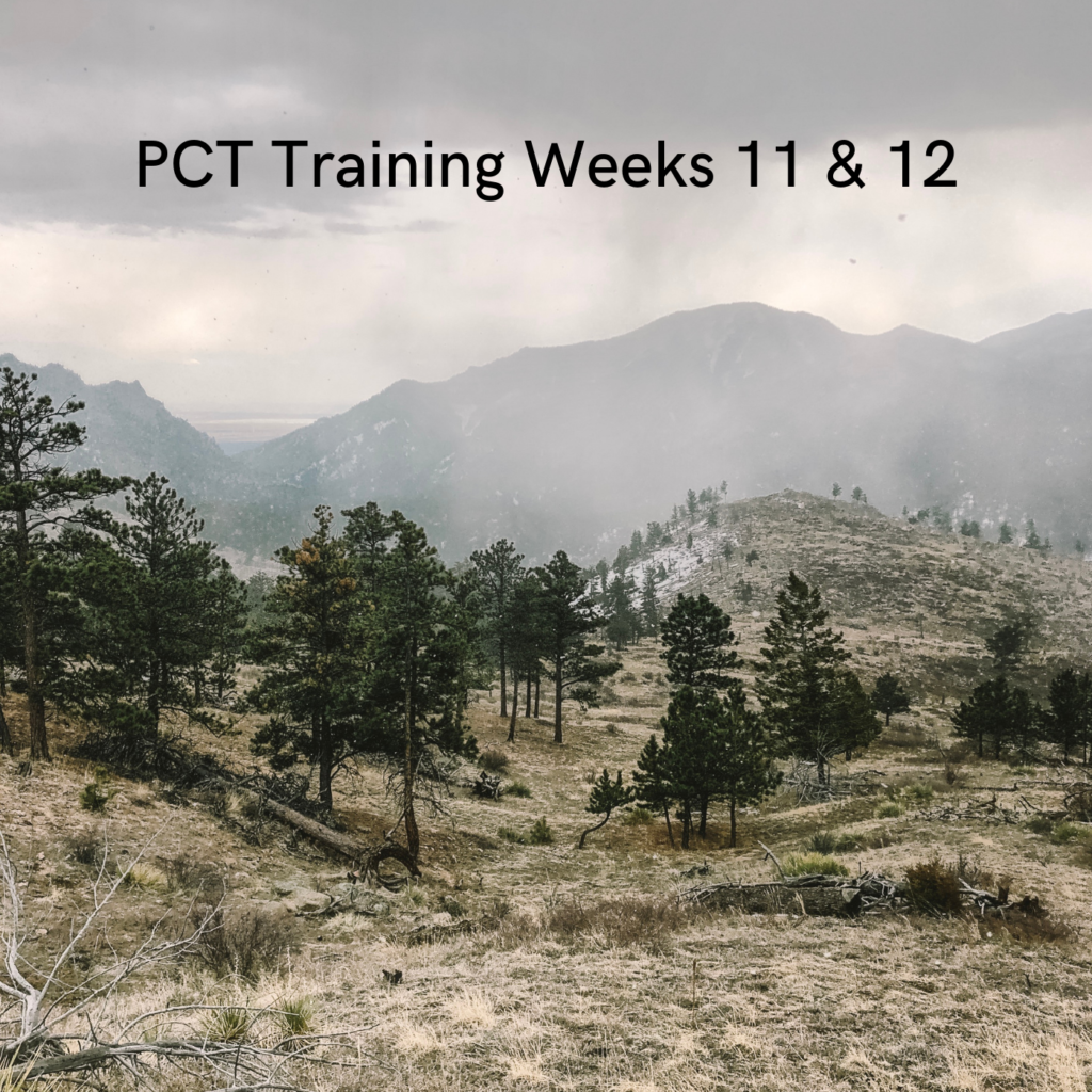 PCT Training Weeks 11 & 12 - Just J.Faye